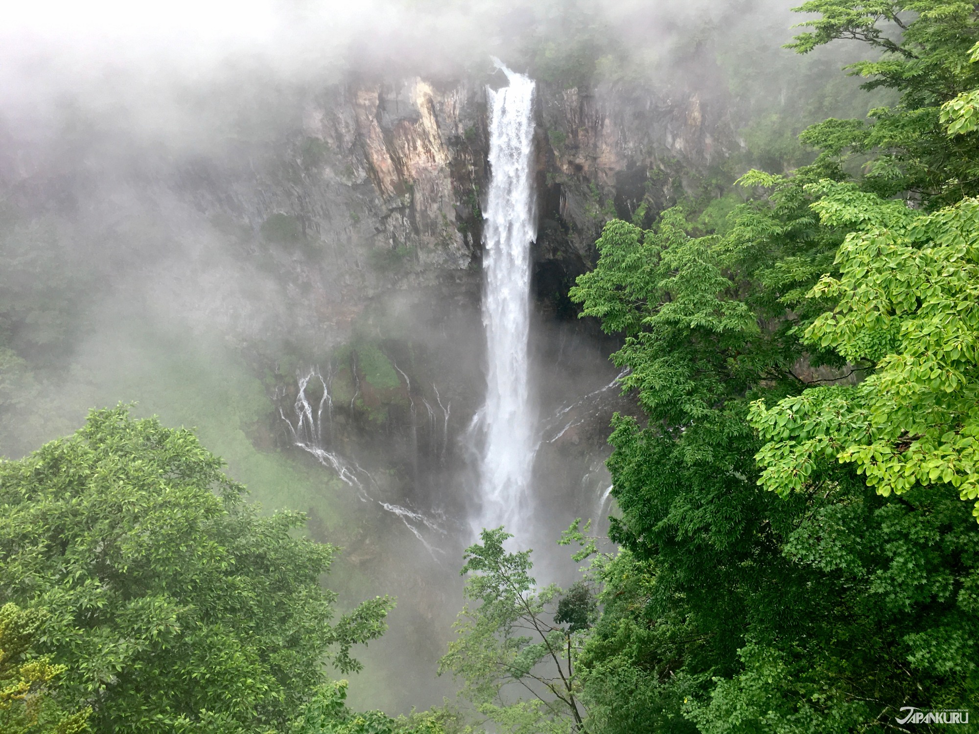 Japan’s Best Fall Foliage Spots: Snake Through Tochigi’s Autumn Leaves ...