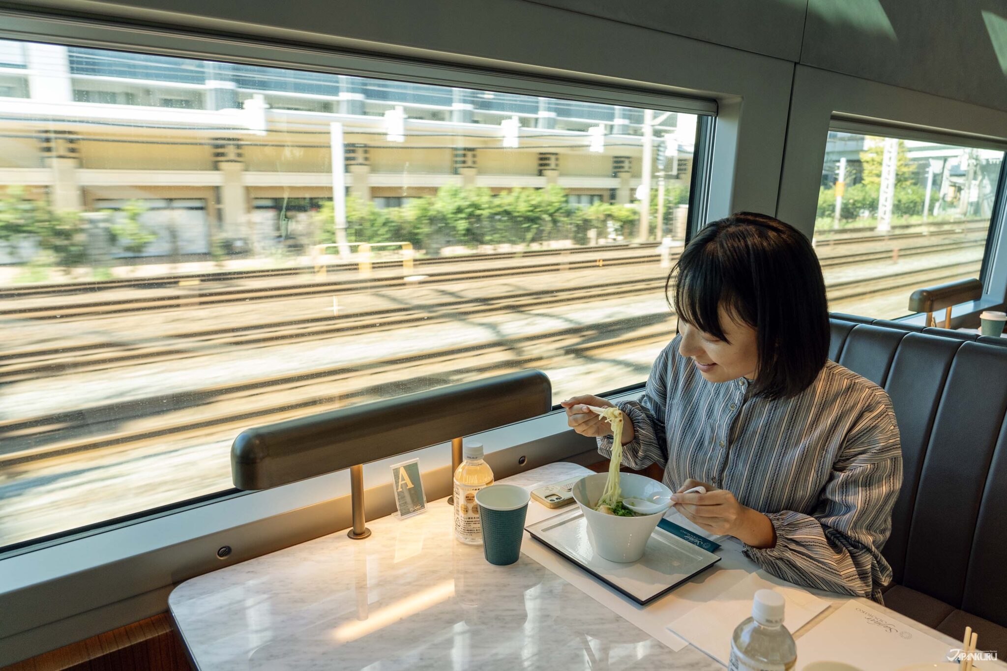 【JR觀光列車精選】Saphir ODORIKO藍寶石踴子號 （サフィール踊り子）