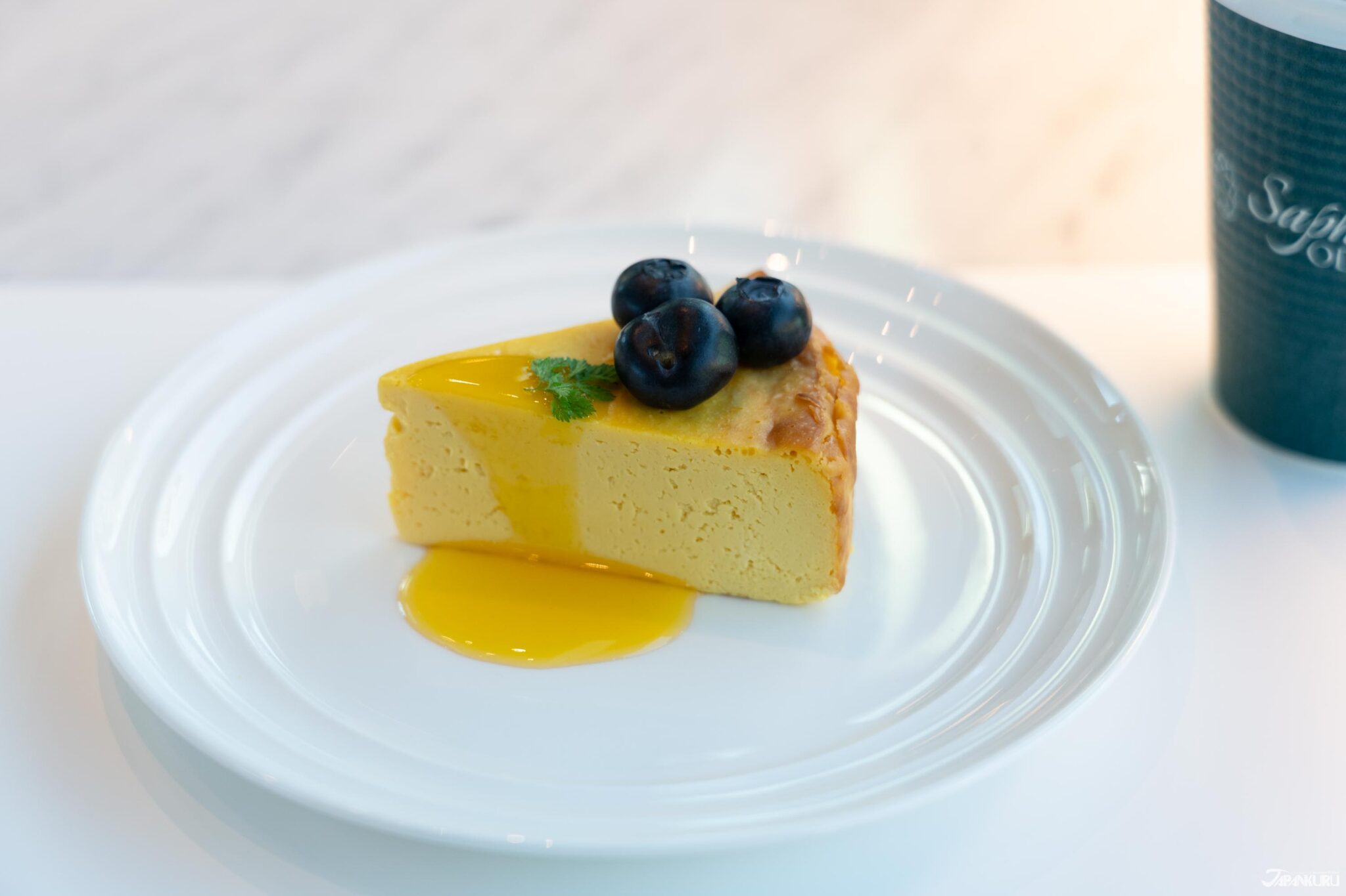 【JR觀光列車精選】Saphir ODORIKO藍寶石踴子號 （サフィール踊り子）