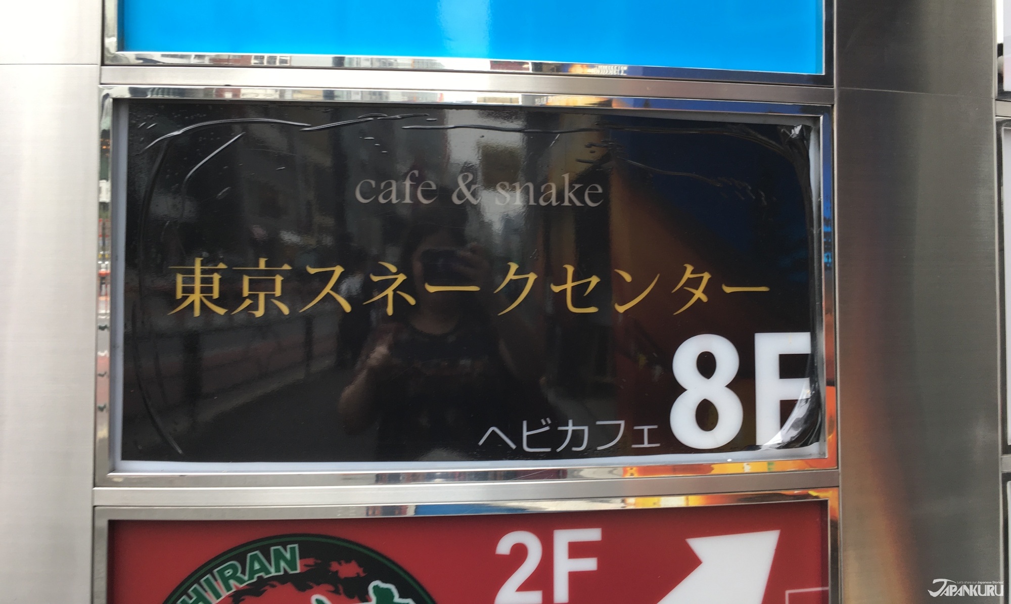 Tokyo Snake Cafe: ใช้เวลาช่วงบ่ายที่คาเฟ่สัตว์เลี้ยงสุดแปลกในญี่ปุ่น