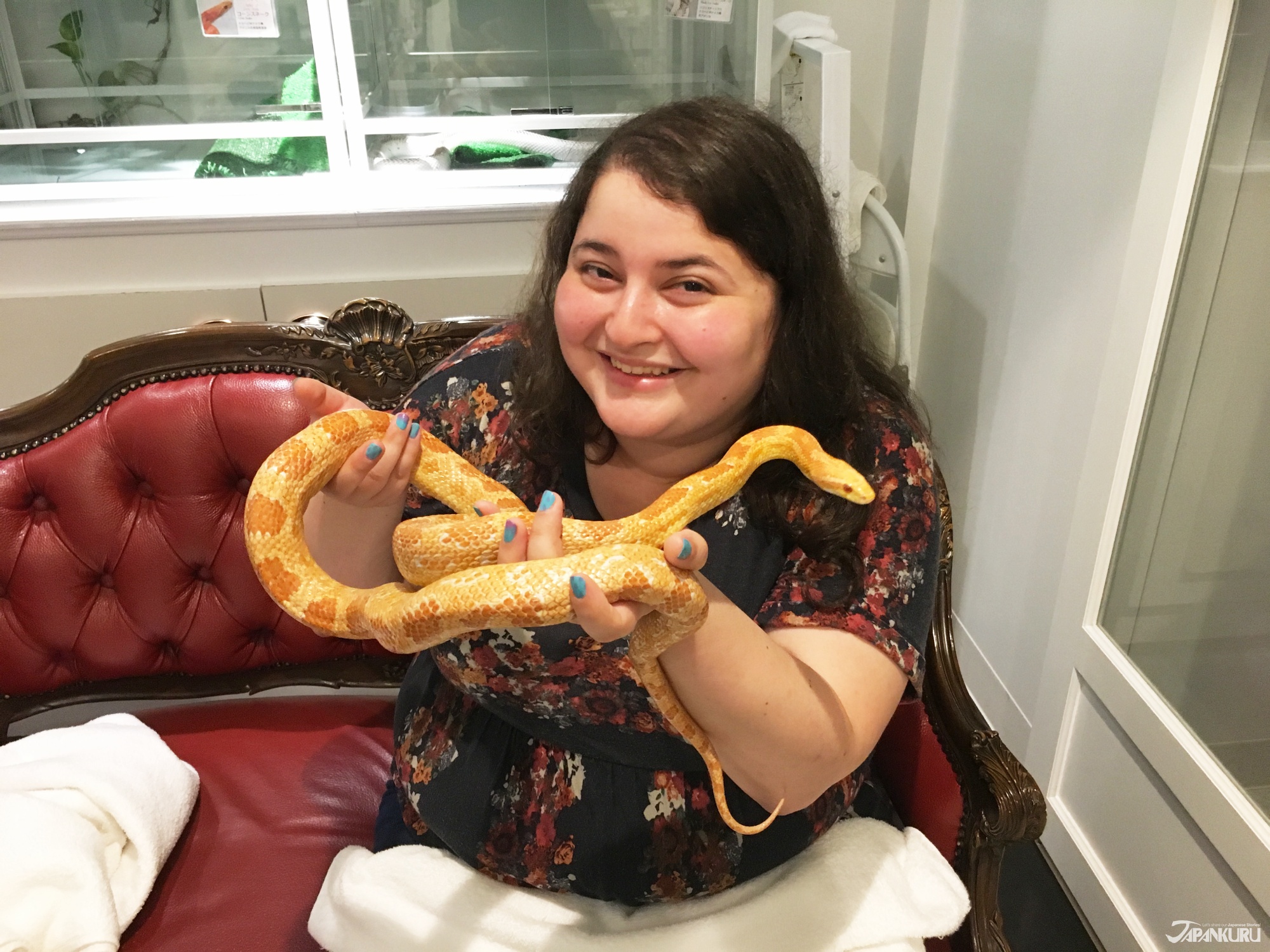 Tokyo Snake Cafe: Spend an Afternoon at Japan’s Most Unique Animal Cafe