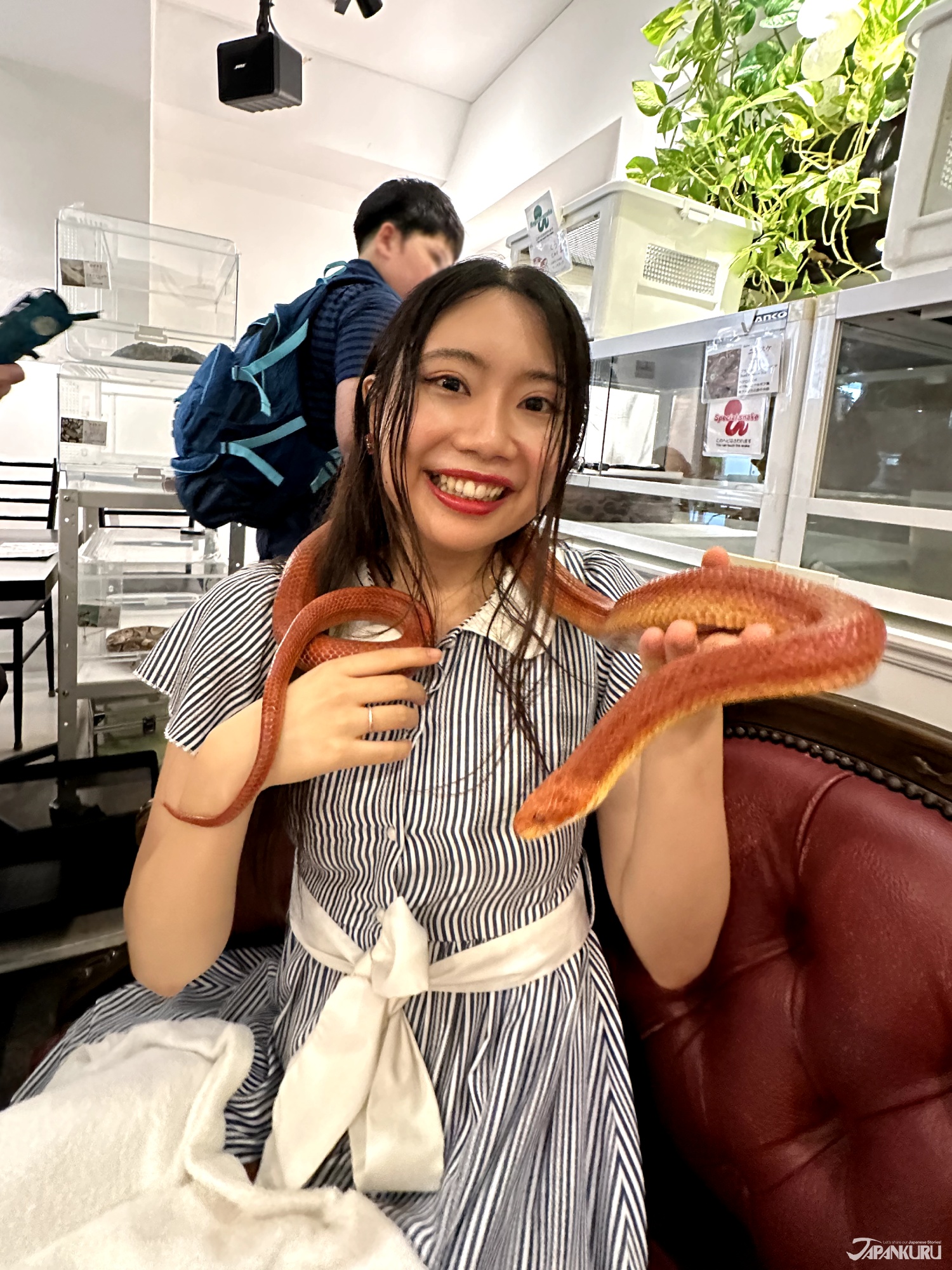 Tokyo Snake Cafe: Spend an Afternoon at Japan’s Most Unique Animal Cafe