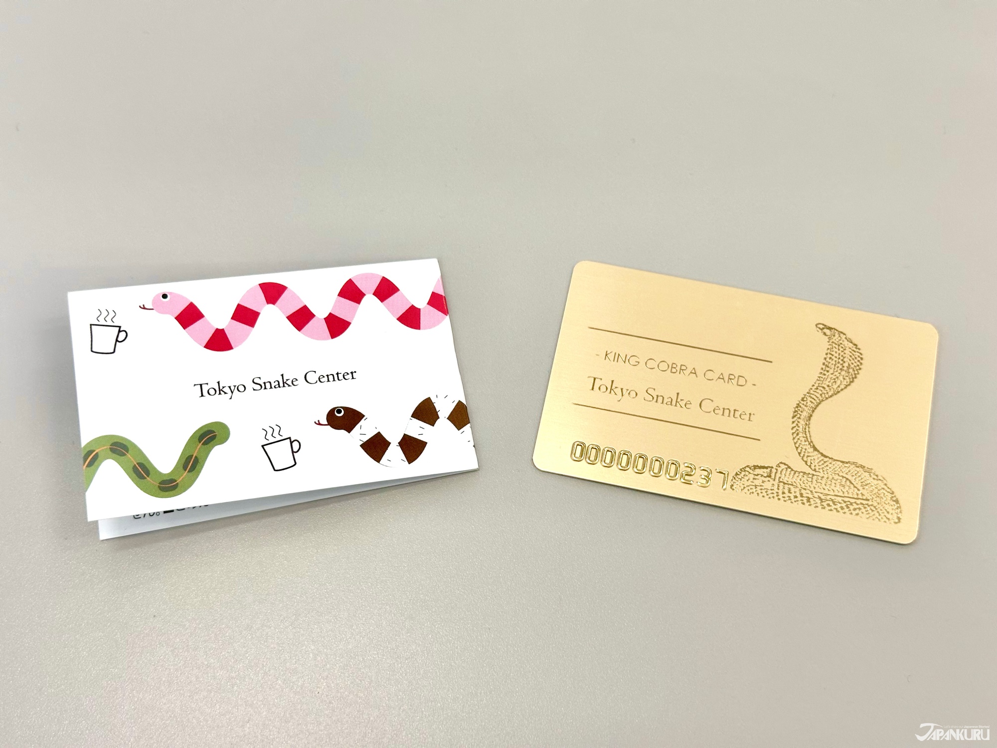 Tokyo Snake Cafe: Spend an Afternoon at Japan’s Most Unique Animal Cafe