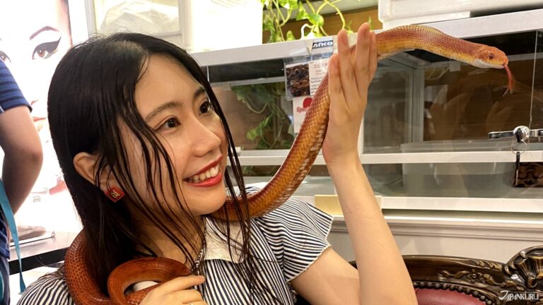 JAPANKURU - Travel Info & Stories from Japan