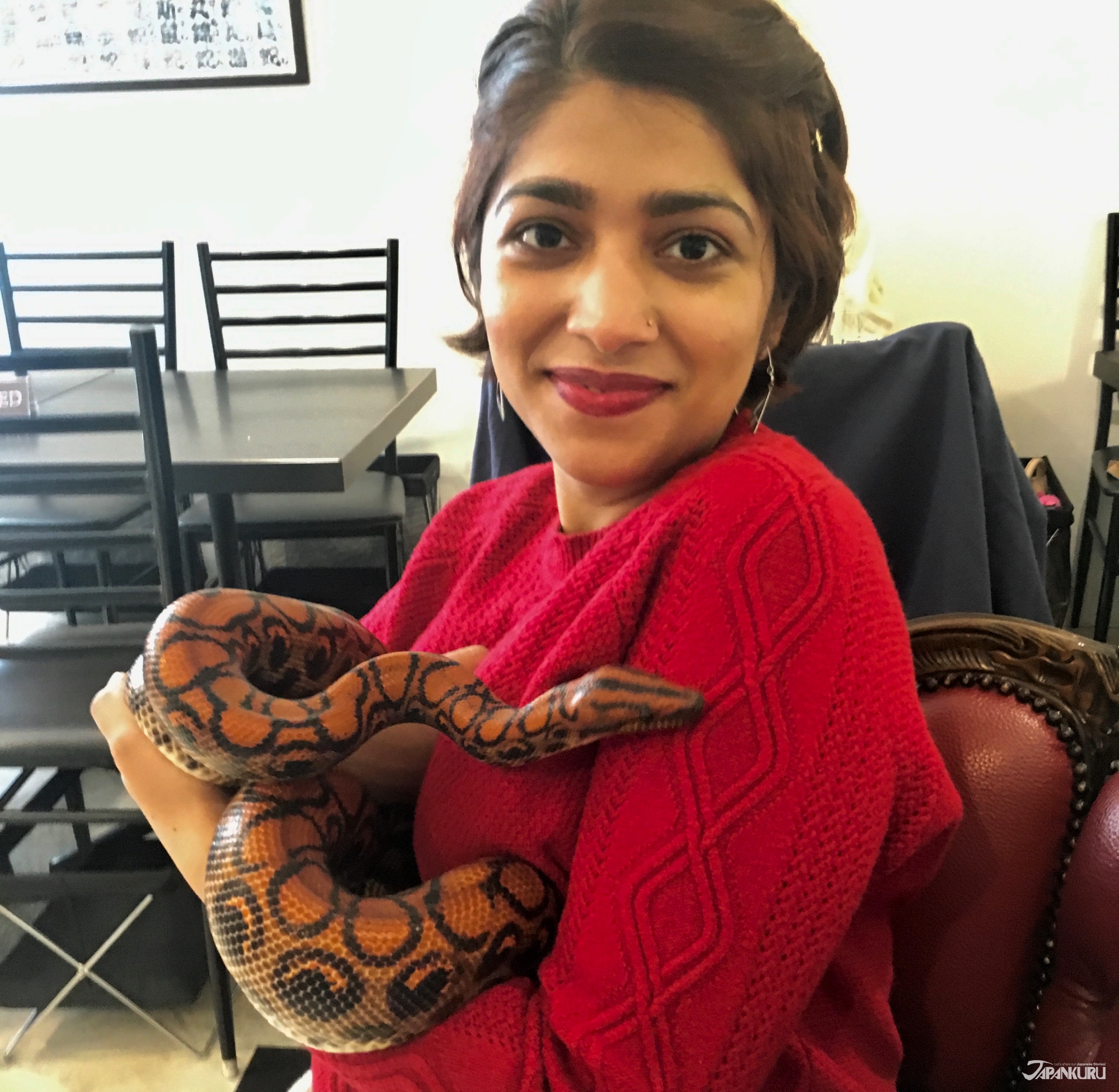 Tokyo Snake Cafe: Spend an Afternoon at Japan’s Most Unique Animal Cafe