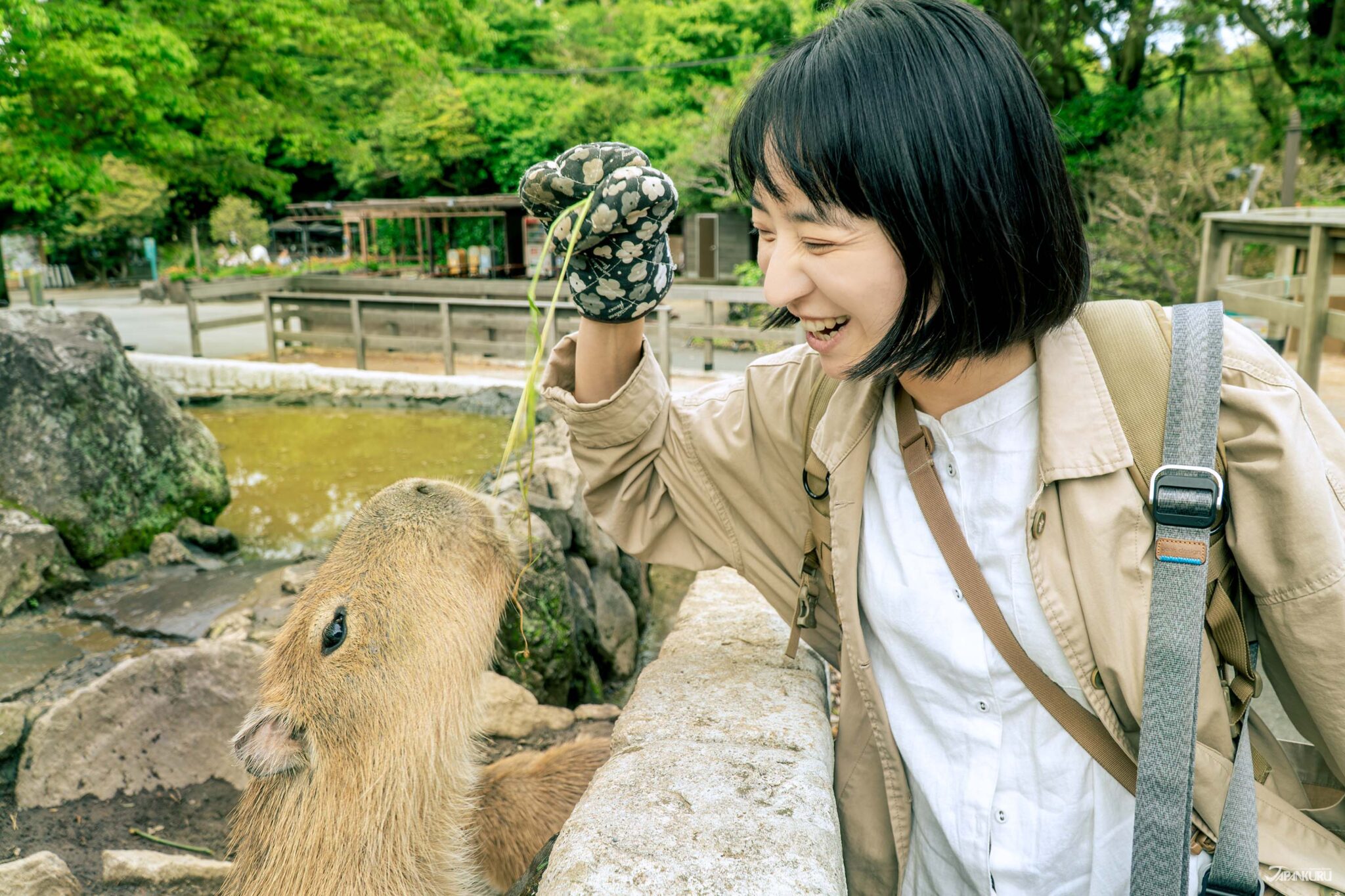 Meet Japan’s Cutest Capybaras: 4 Spots to Feed, Pet, and Play With ...