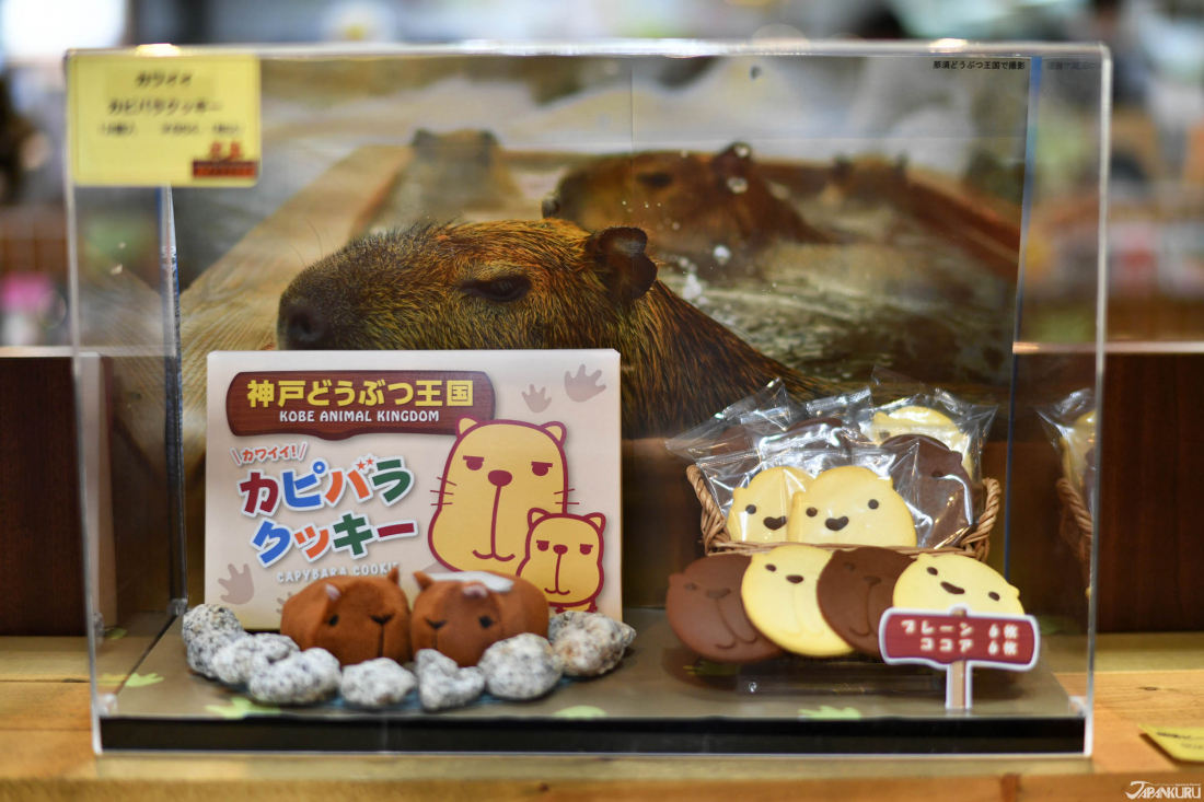 Meet Japan’s Cutest Capybaras: 4 Spots to Feed, Pet, and Play With ...