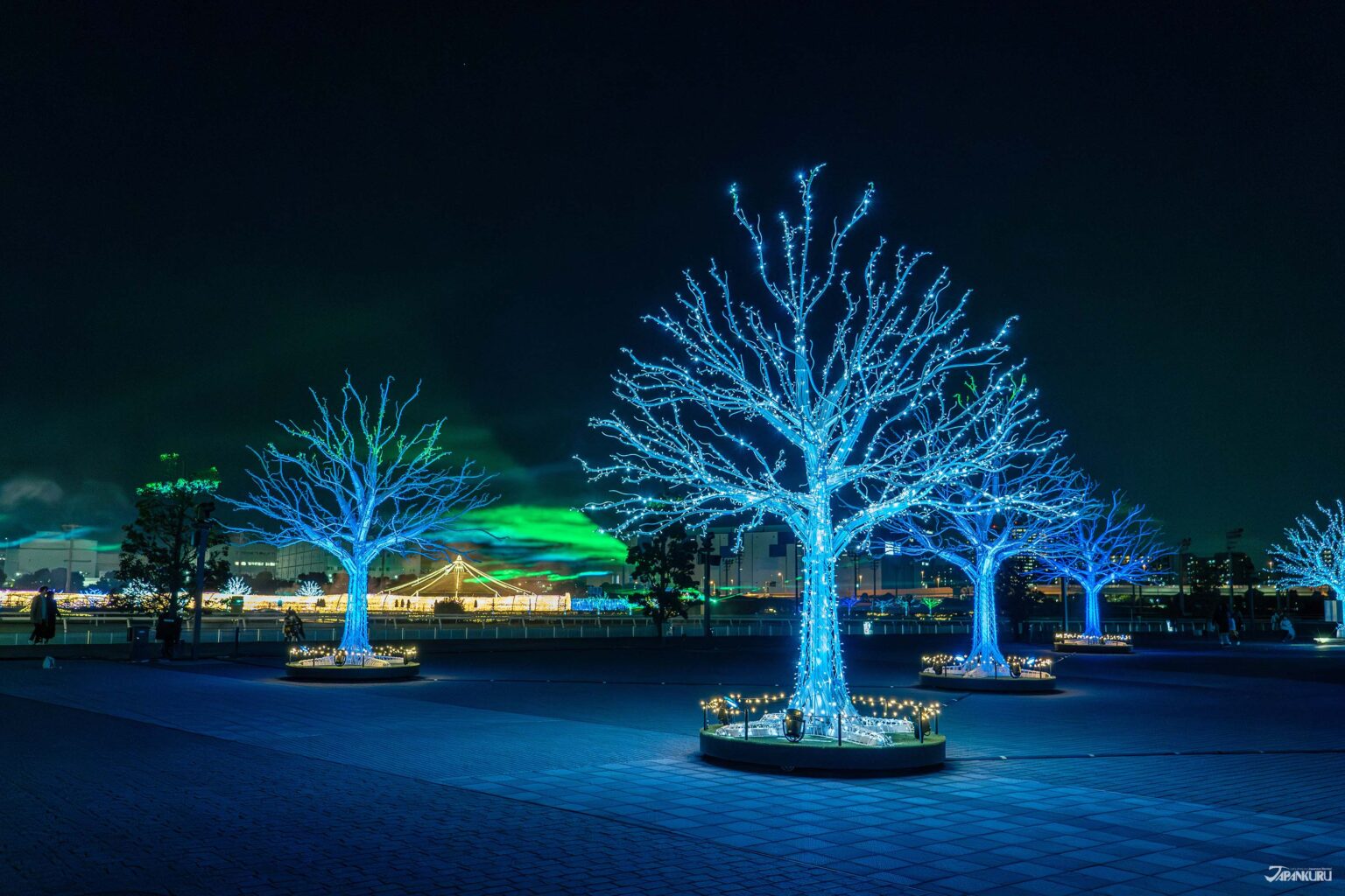 Tokyo Winter Recommendation: Don’t Miss Tokyo Mega Illumination, Japan ...