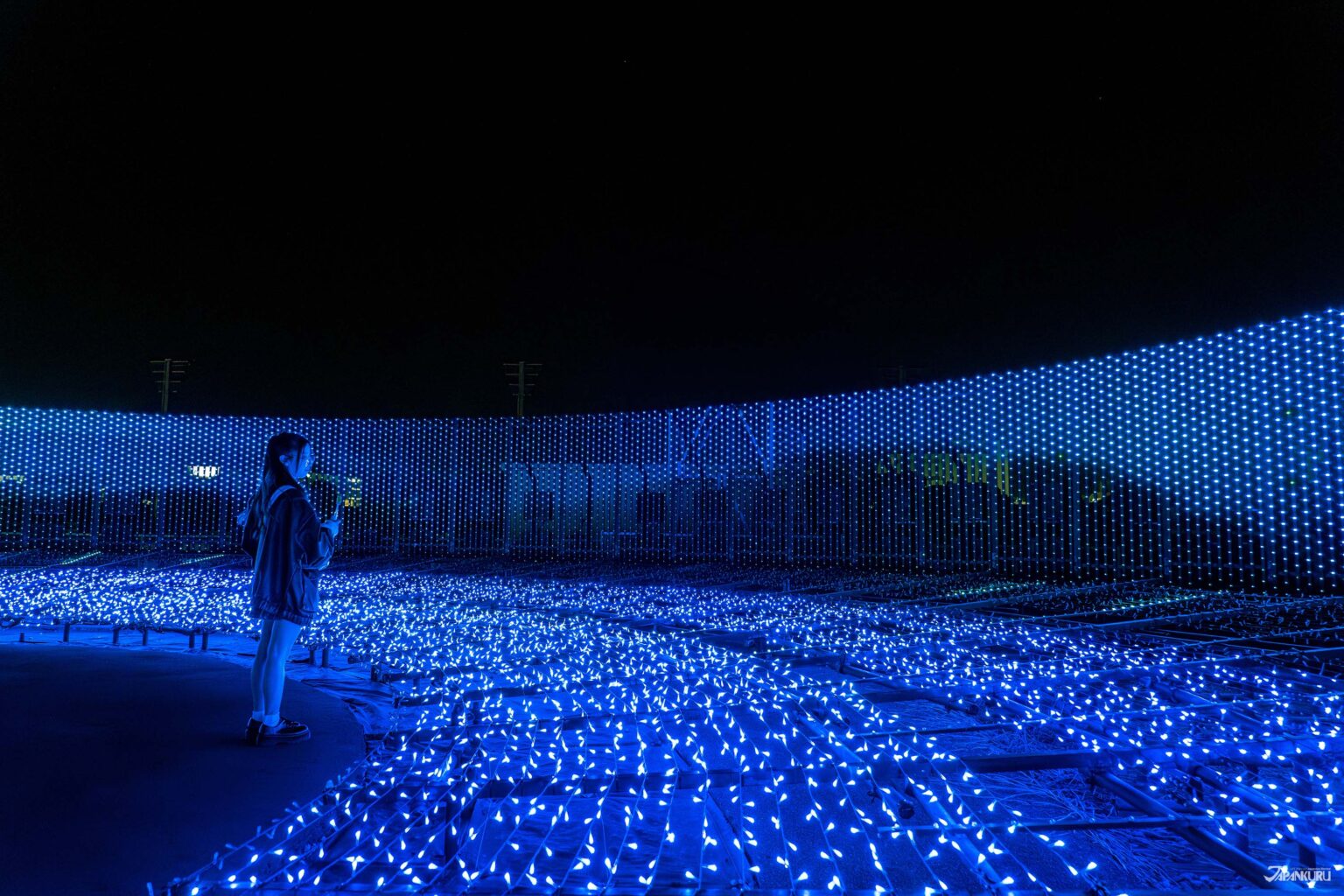 Tokyo Winter Recommendation: Don’t Miss Tokyo Mega Illumination, Japan ...