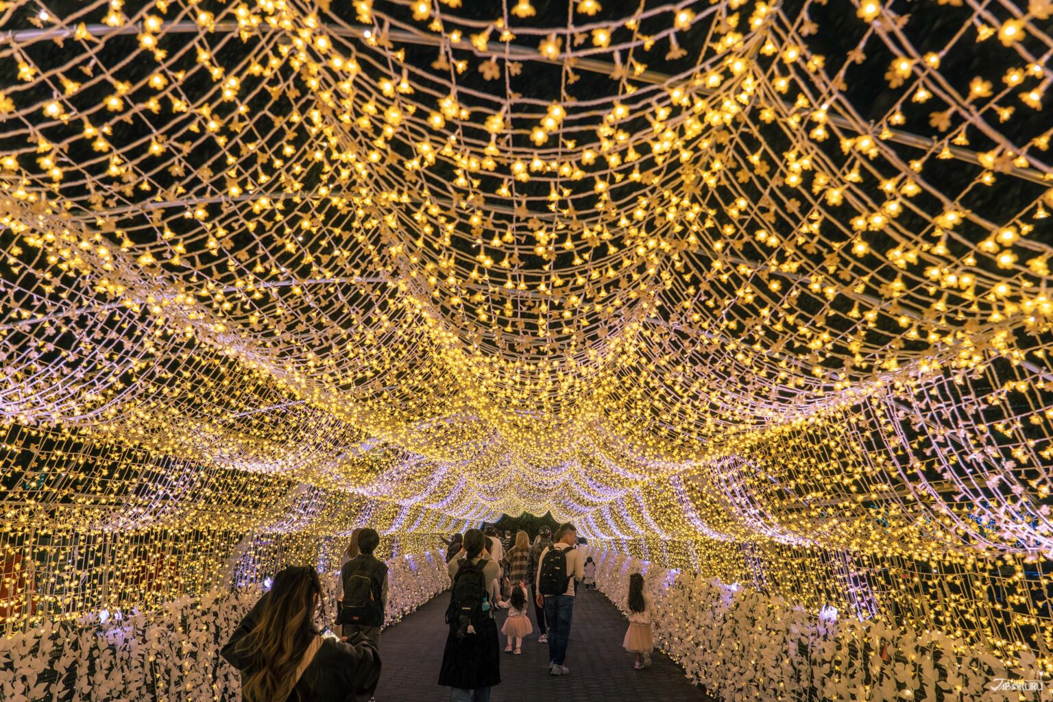 Tokyo Winter Recommendation: Don’t Miss Tokyo Mega Illumination, Japan ...