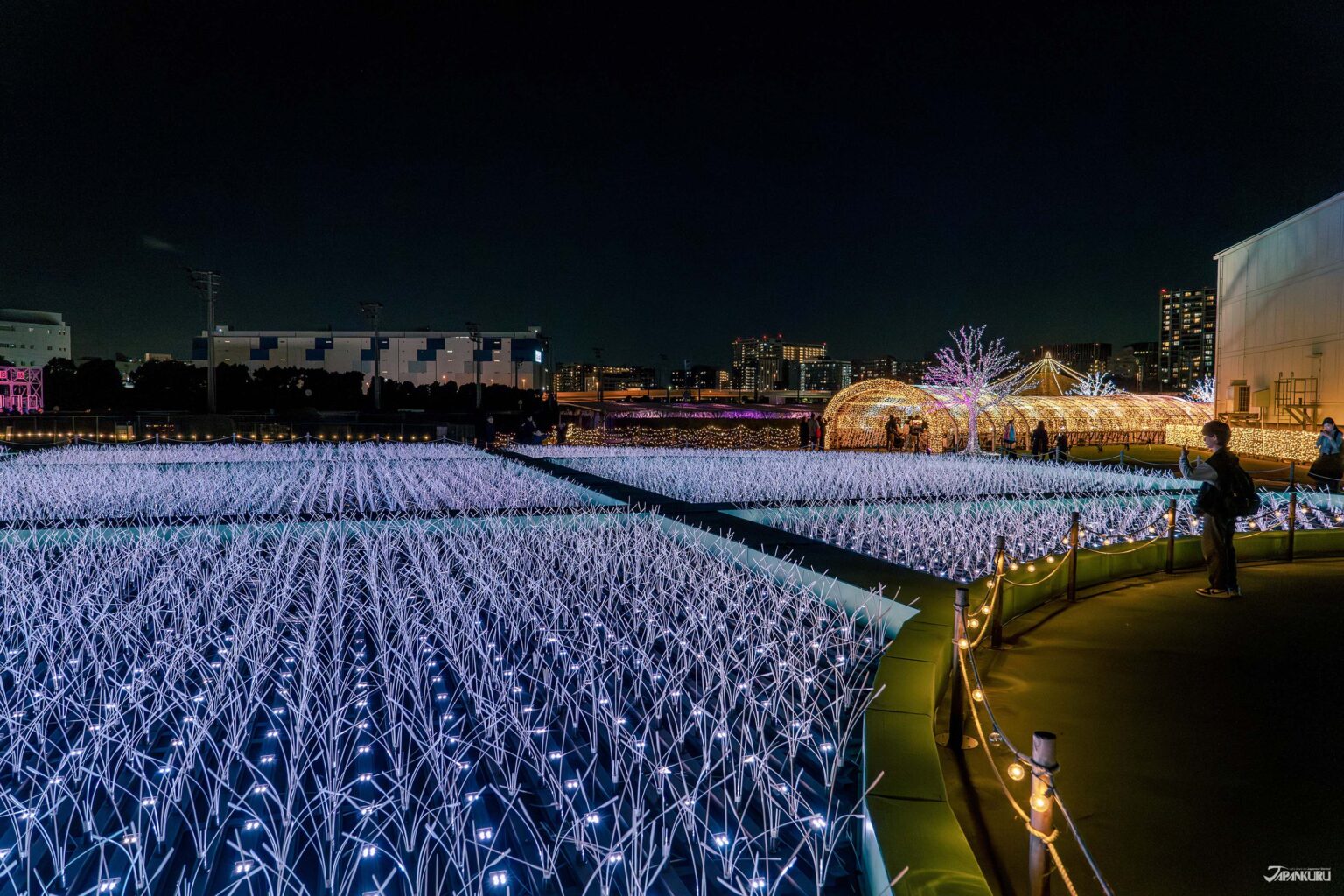 Tokyo Winter Recommendation: Don’t Miss Tokyo Mega Illumination, Japan ...