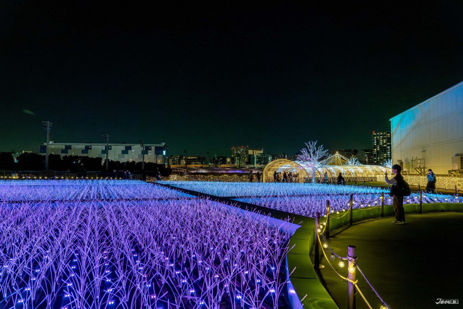 Tokyo Winter Recommendation: Don’t Miss Tokyo Mega Illumination, Japan ...