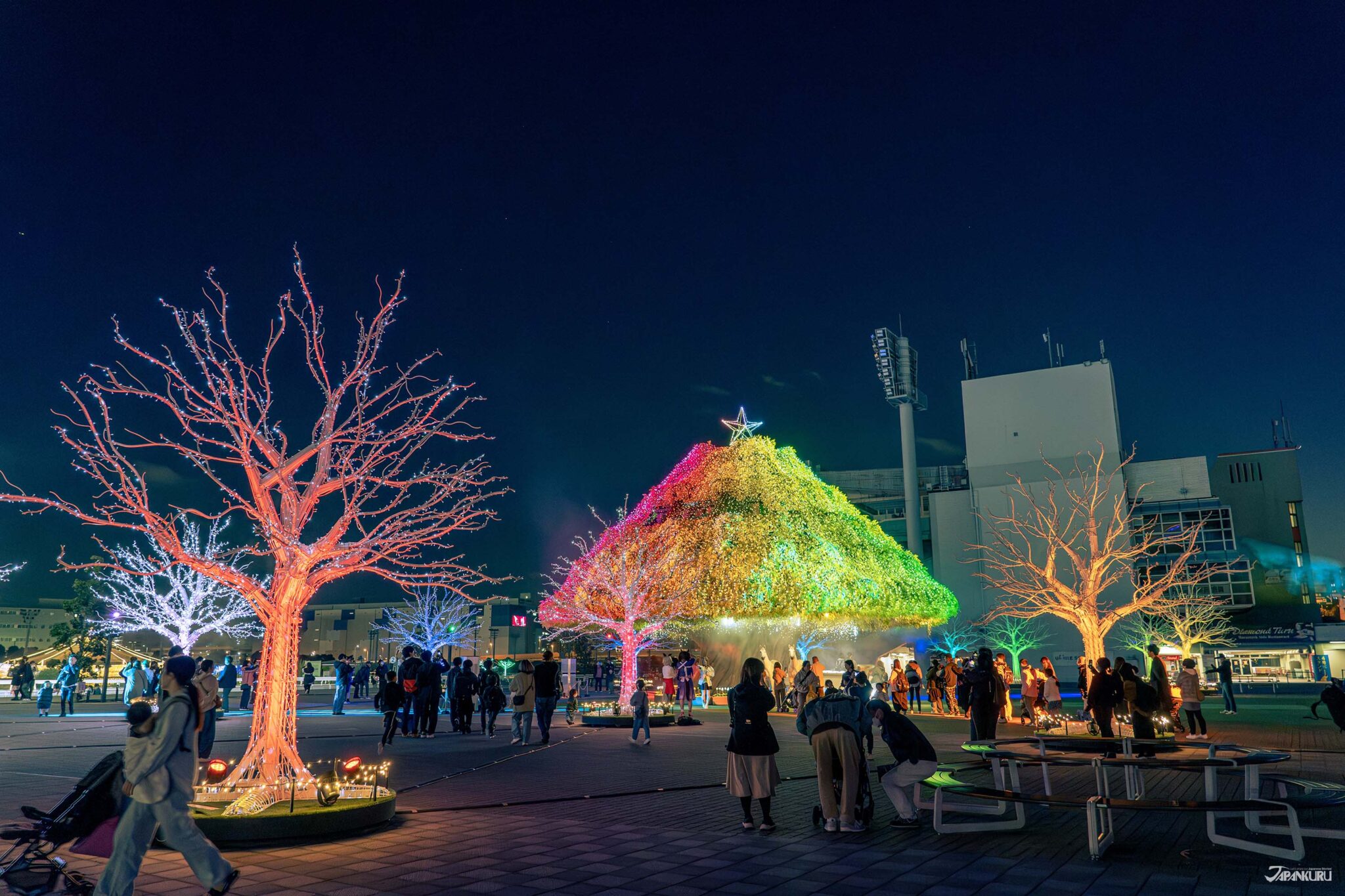 Tokyo Winter Recommendation: Don’t Miss Tokyo Mega Illumination, Japan ...