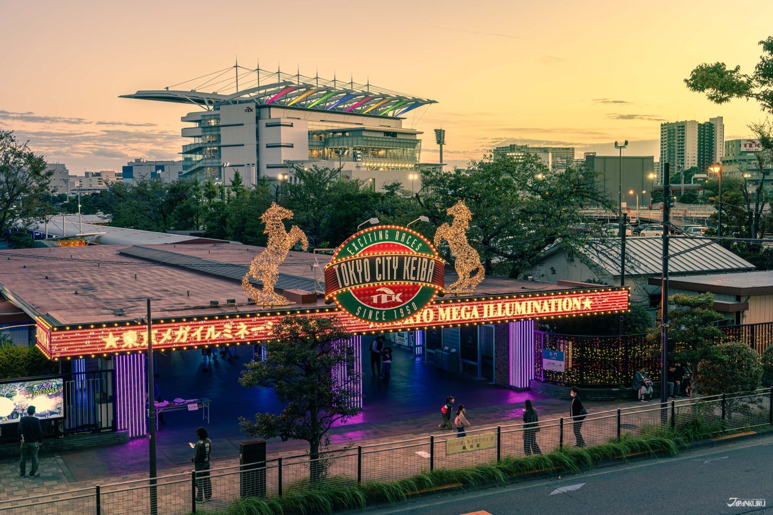 Tokyo Winter Recommendation: Don’t Miss Tokyo Mega Illumination, Japan ...