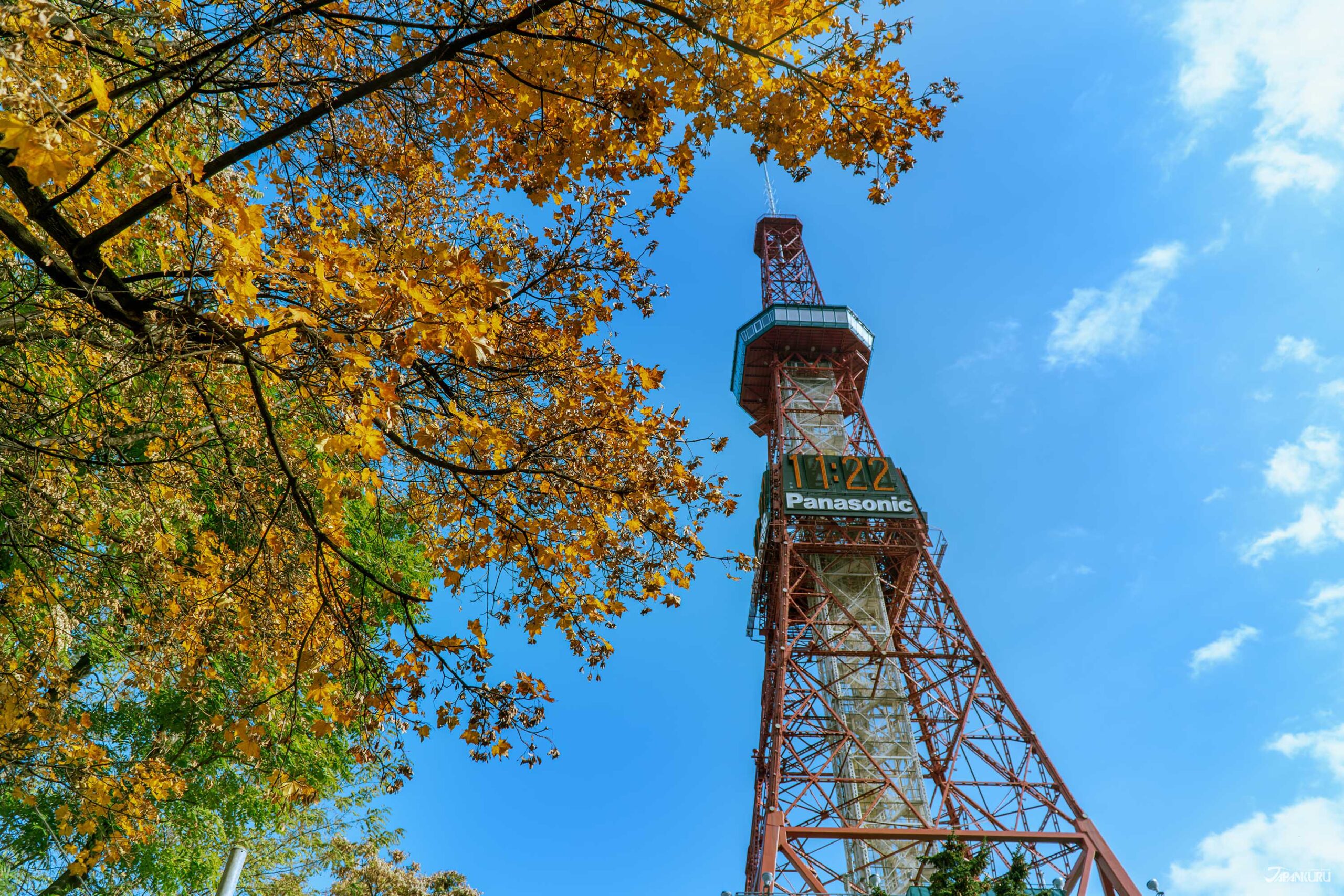 See Sapporo Day & Night: Local Cuisine, Sparkling Lights, & Sapporo ...