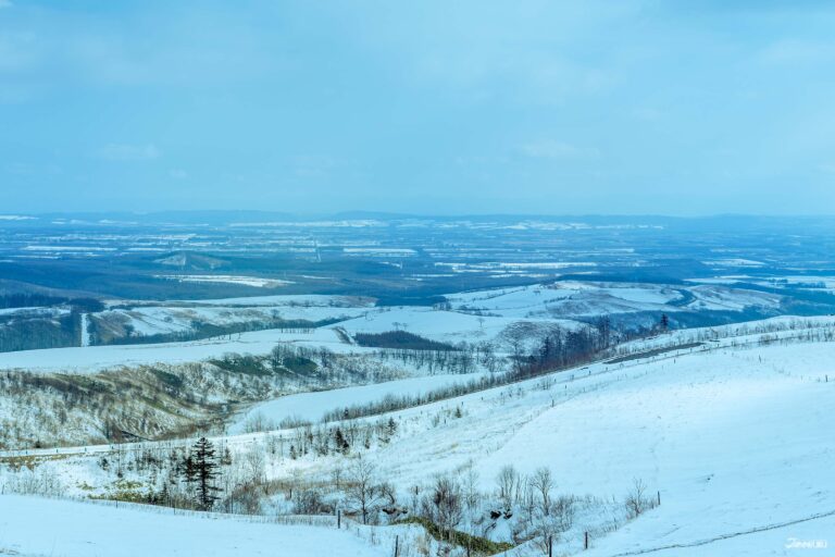 3 Must-Try Local Experiences in Tokachi, Hokkaido | Japan’s Hidden ...