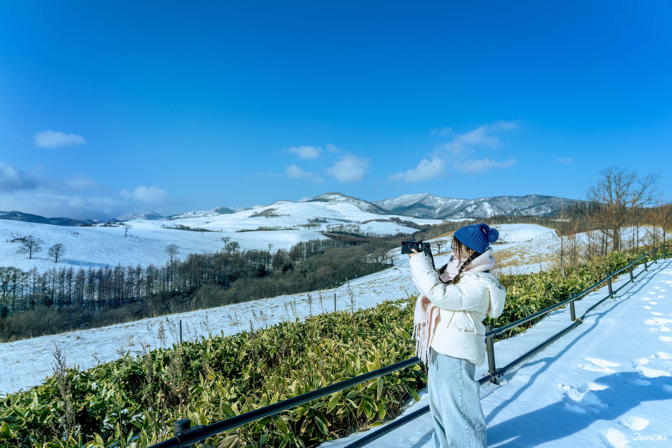 3 Must-Try Local Experiences in Tokachi, Hokkaido | Japan’s Hidden ...