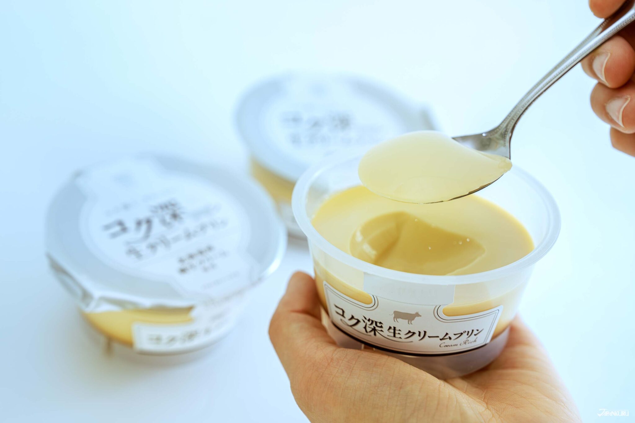 10 Best Japanese Pudding Picks | Try Authentic Pudding in Japan With ...