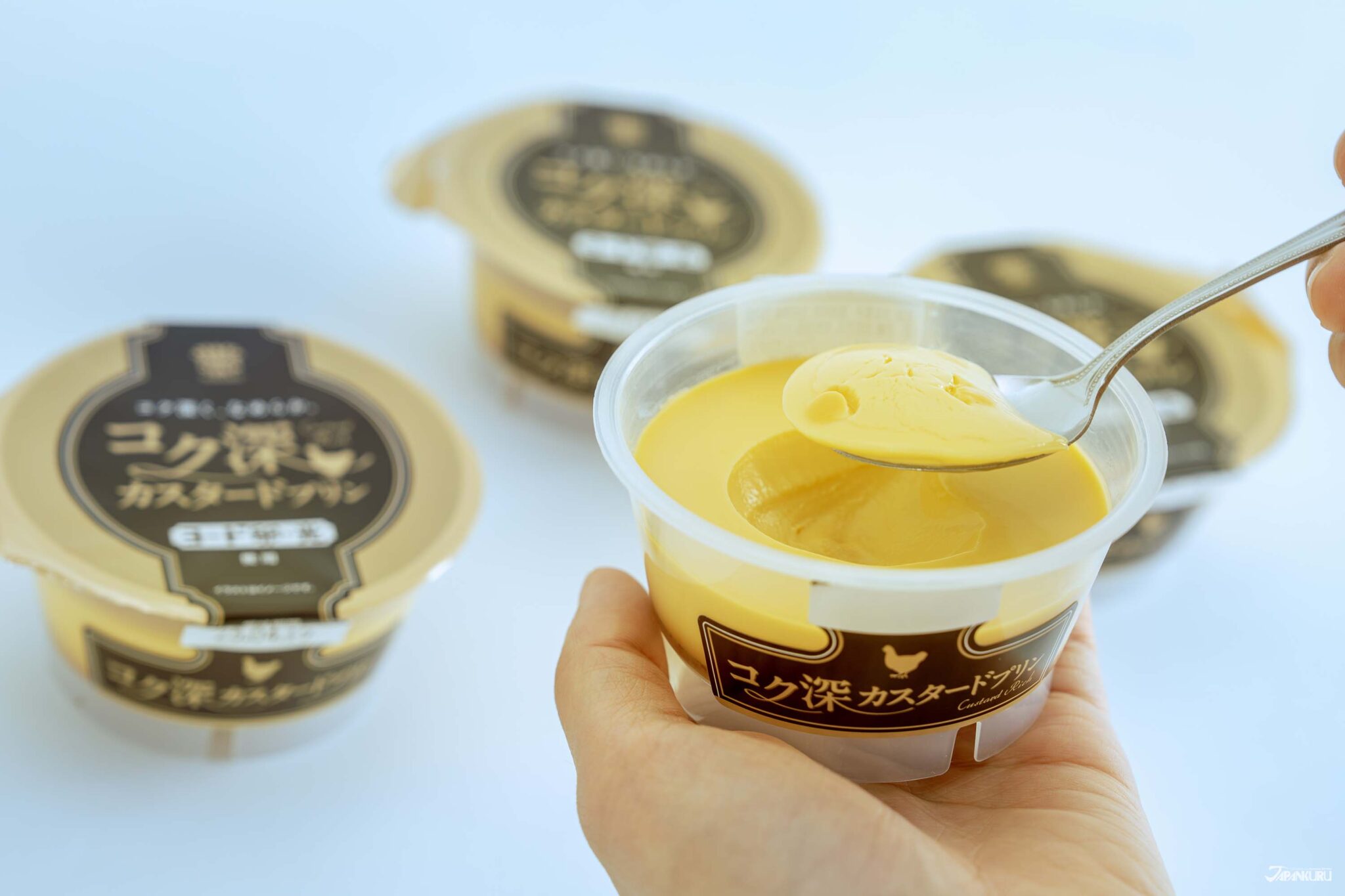 10 Best Japanese Pudding Picks | Try Authentic Pudding in Japan With ...