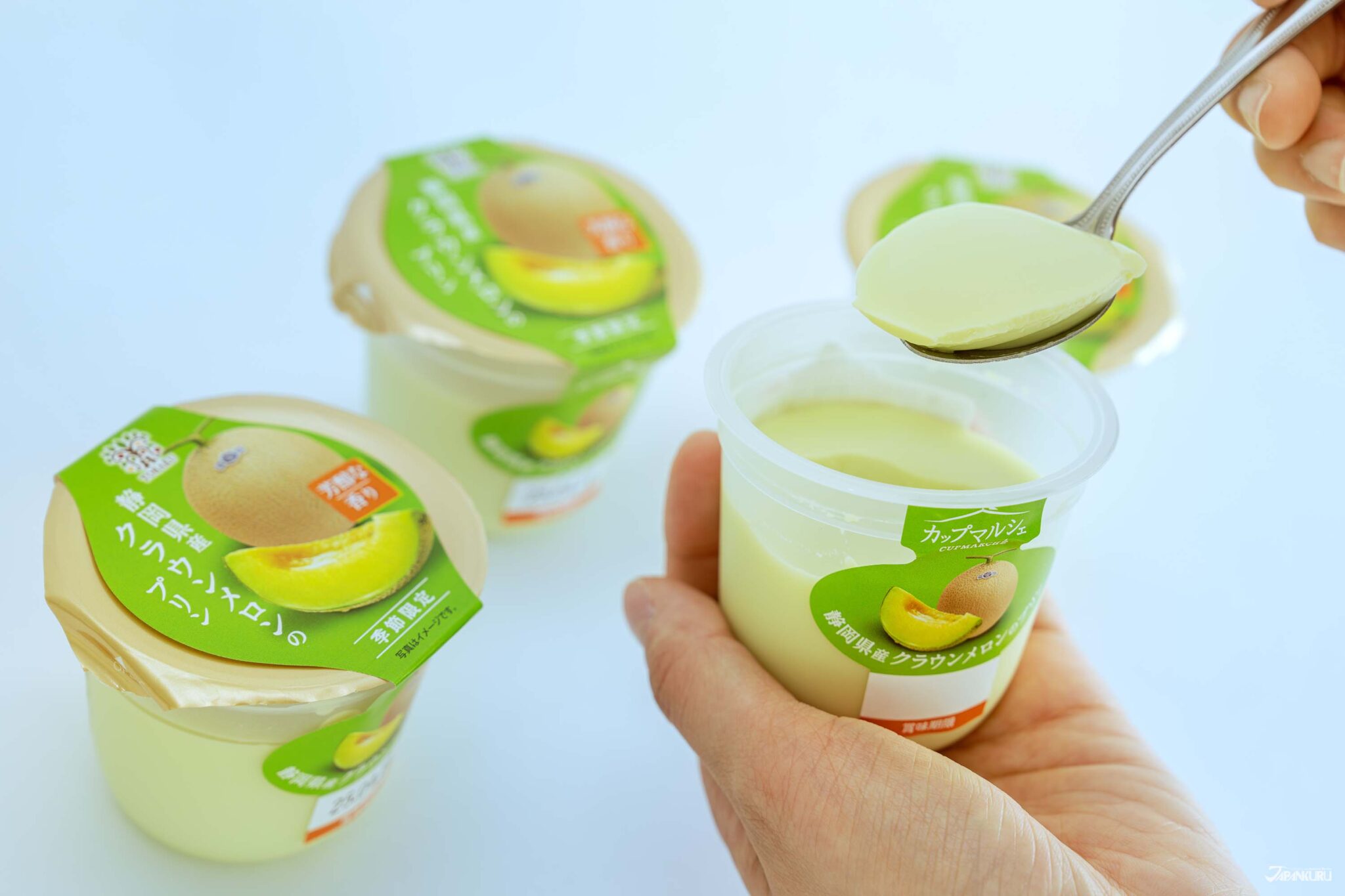 10 Best Japanese Pudding Picks | Try Authentic Pudding in Japan With ...