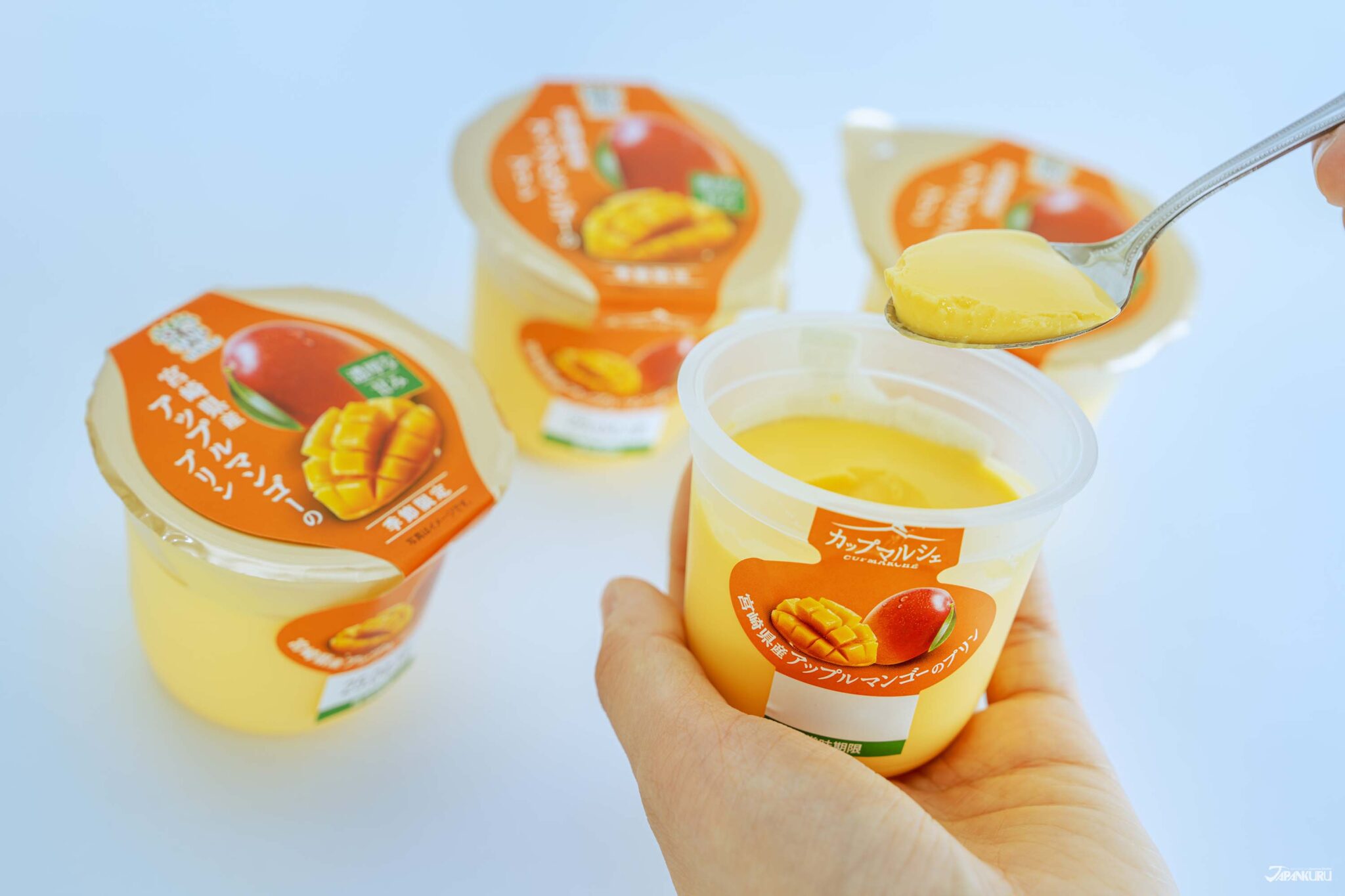 10 Best Japanese Pudding Picks | Try Authentic Pudding in Japan With ...