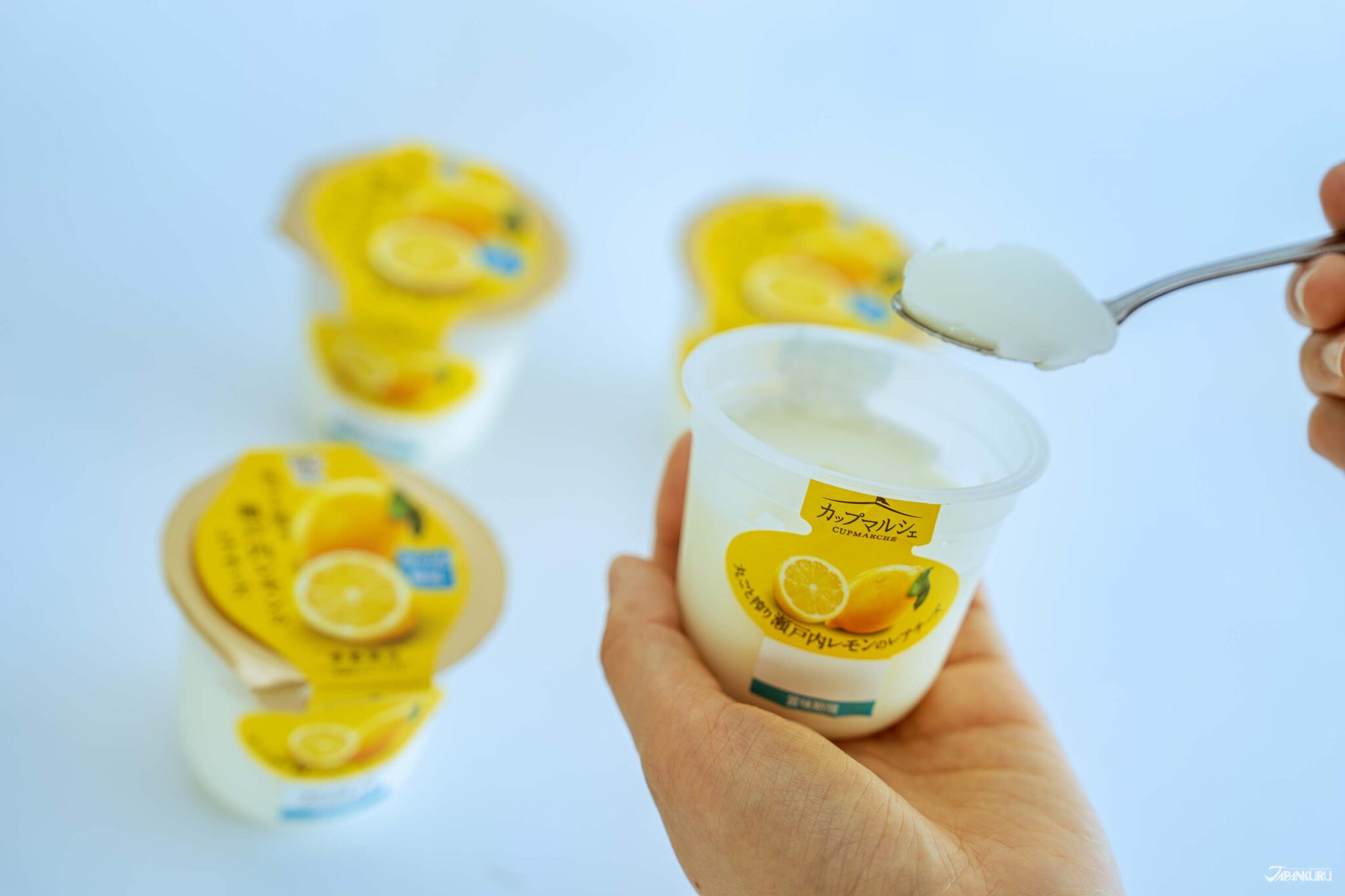 10 Best Japanese Pudding Picks | Try Authentic Pudding in Japan With ...