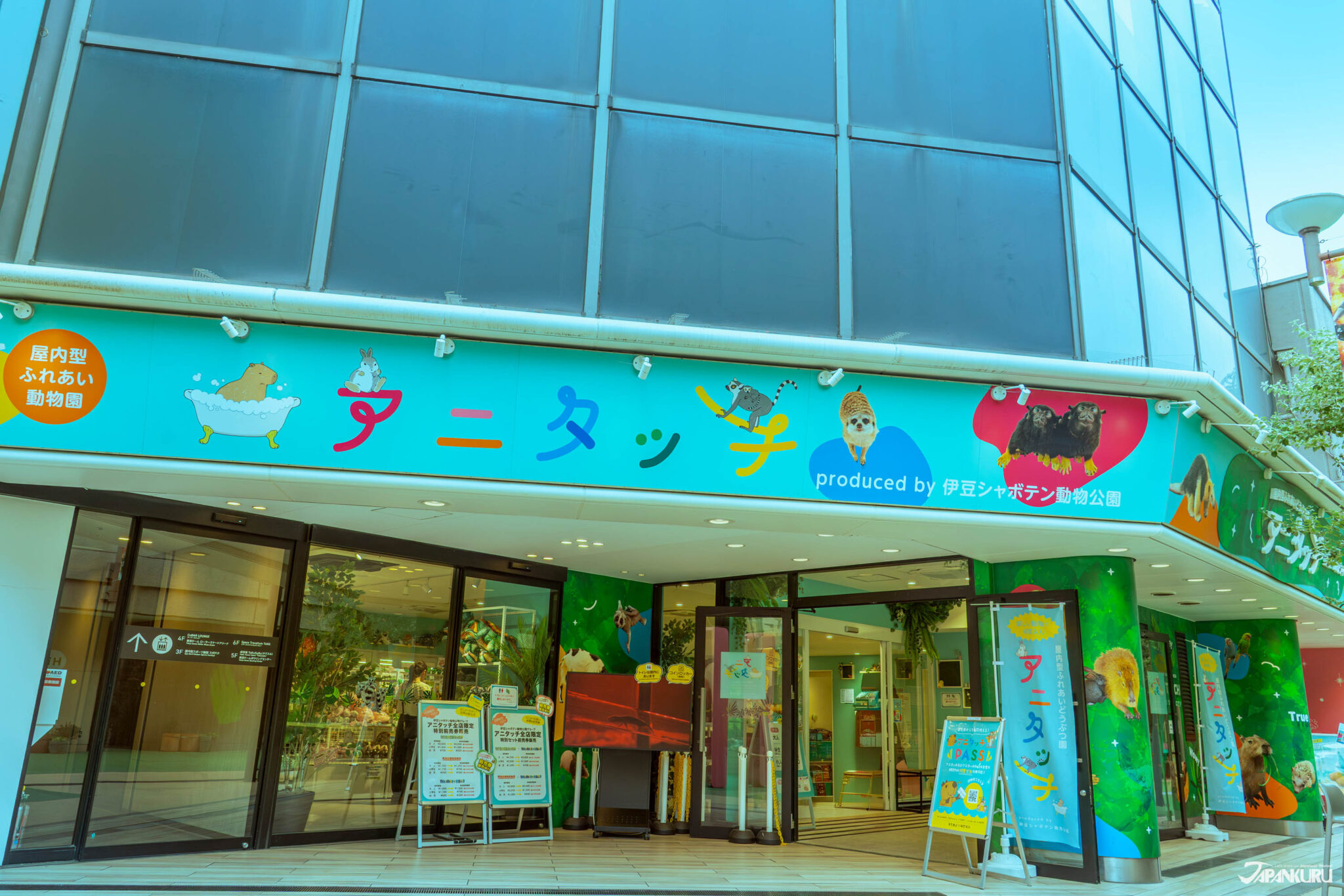 Visit the Largest Indoor Petting Zoo in Tokyo, AniTouch, for Snack Time ...