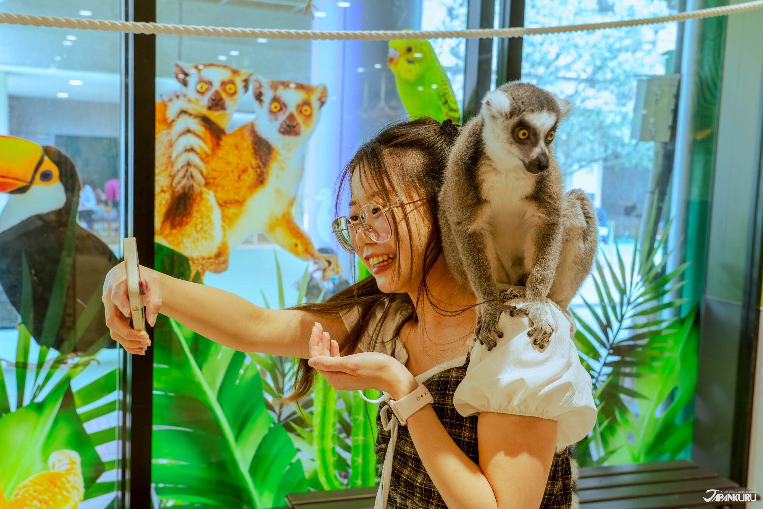 Visit the Largest Indoor Petting Zoo in Tokyo, AniTouch, for Snack Time ...